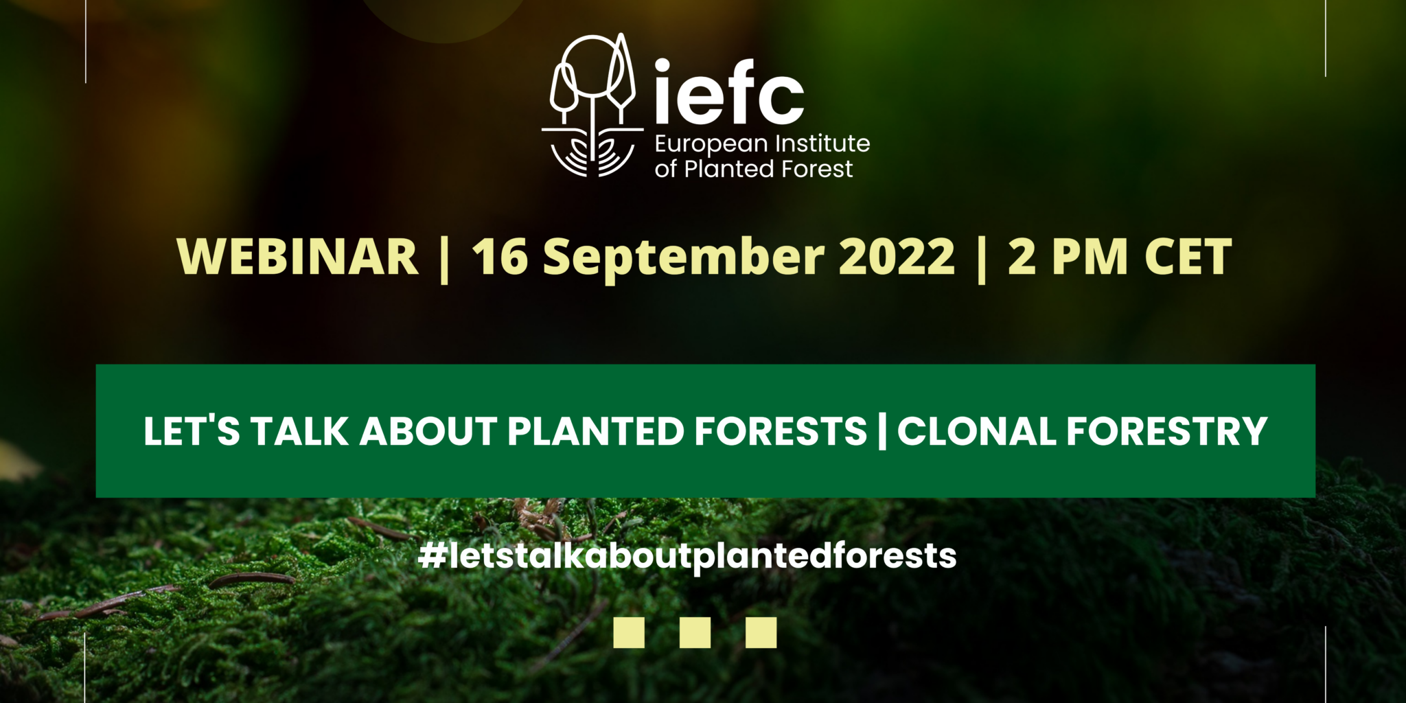 Let's Talk About Planted Forests - Clonal Forestry - European Institute of Planted Forest - IEFC