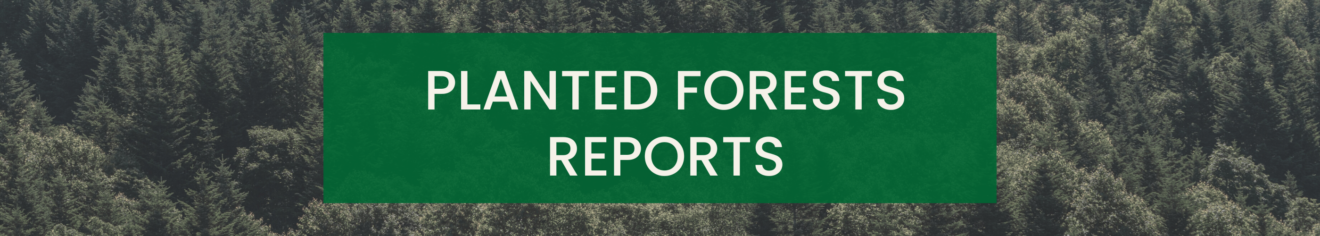 Planted Forests Reports - Instituto Europeo Del Bosque Cultivado - IEFC