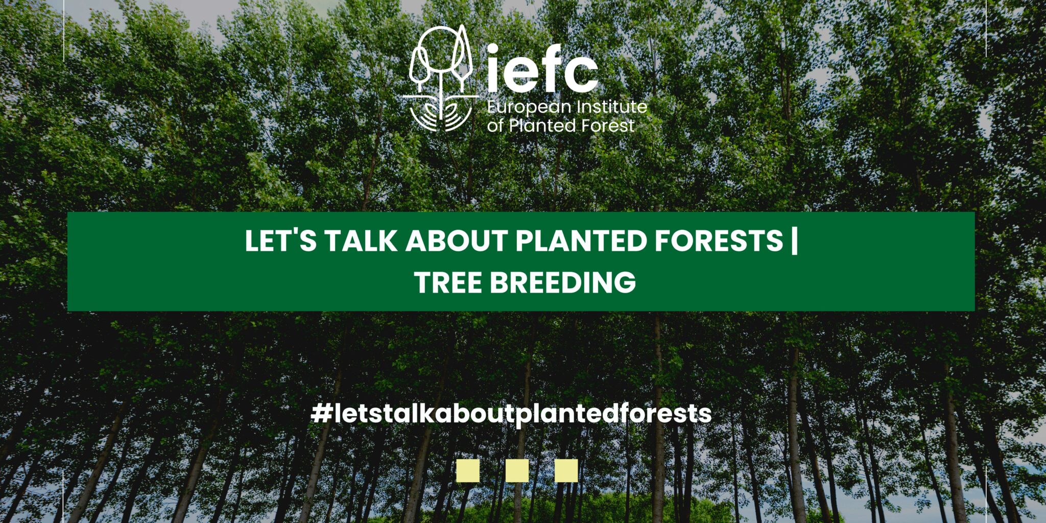 Webinars Replays - Let's Talk About Planted Forests - Page 2 of 3 - European Institute of ...