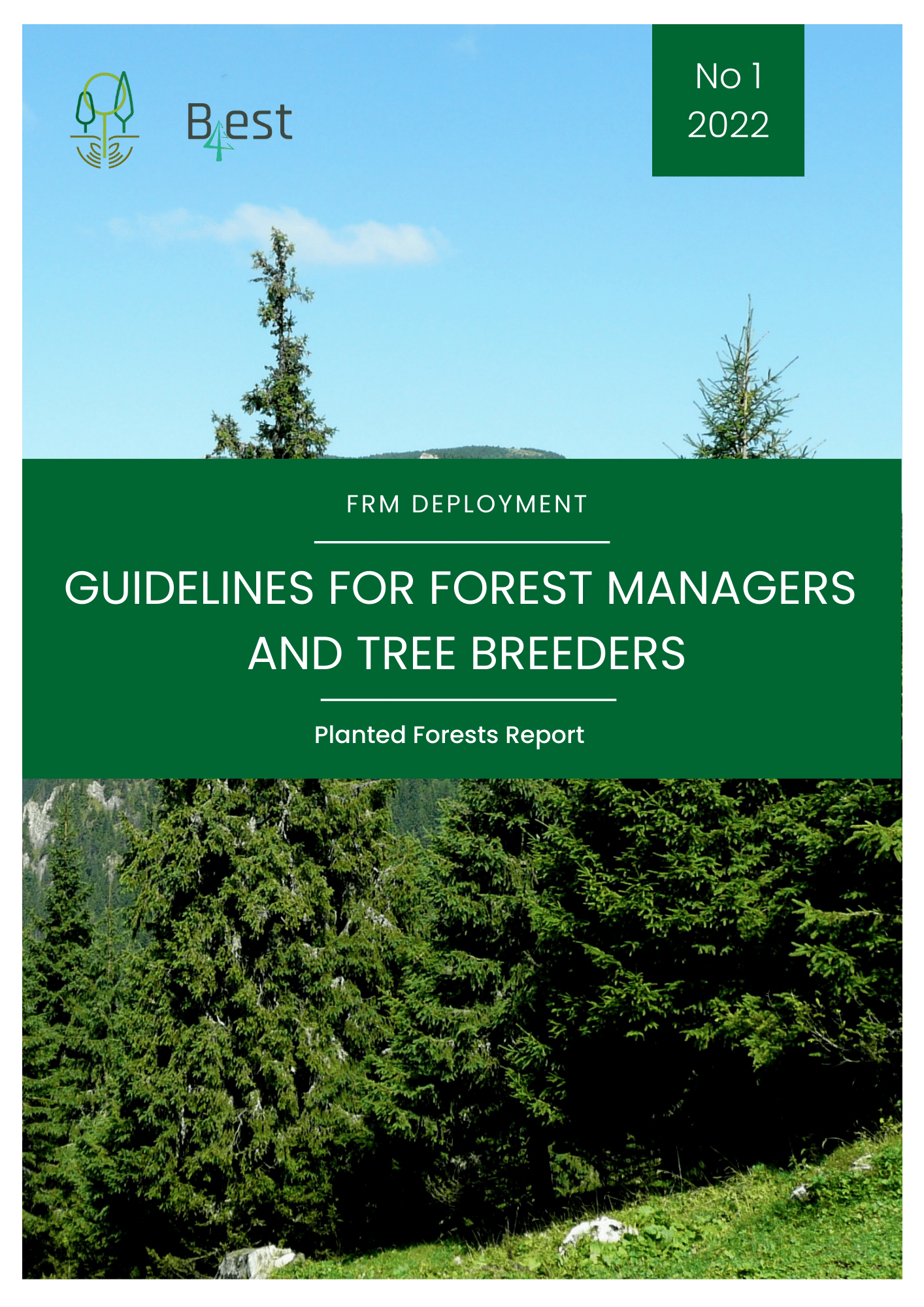 Planted Forests Reports - Institut Européen de la Forêt Cultivée - IEFC