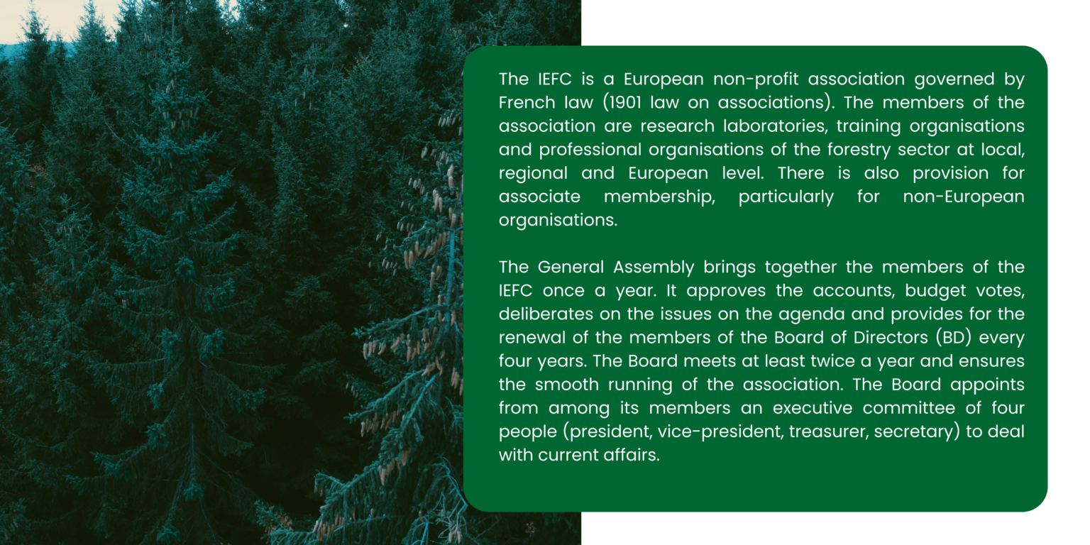 Status and Governance - European Institute of Planted Forest