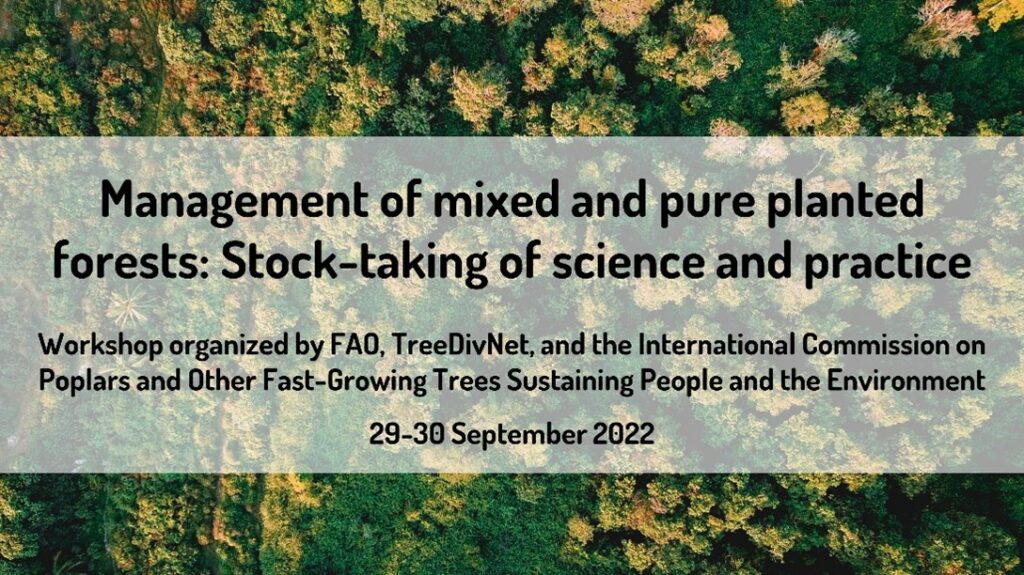 Homepage - European Institute of Planted Forest