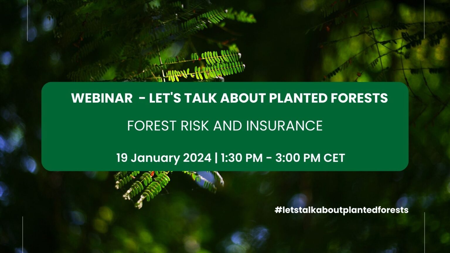 Webinar – Let’s Talk About Planted Forests – Registration - European Institute of Planted Forest ...