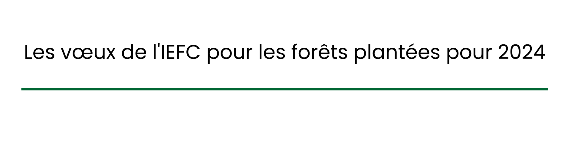 Editorial 2024 - Institut Européen de la Forêt Cultivée - IEFC