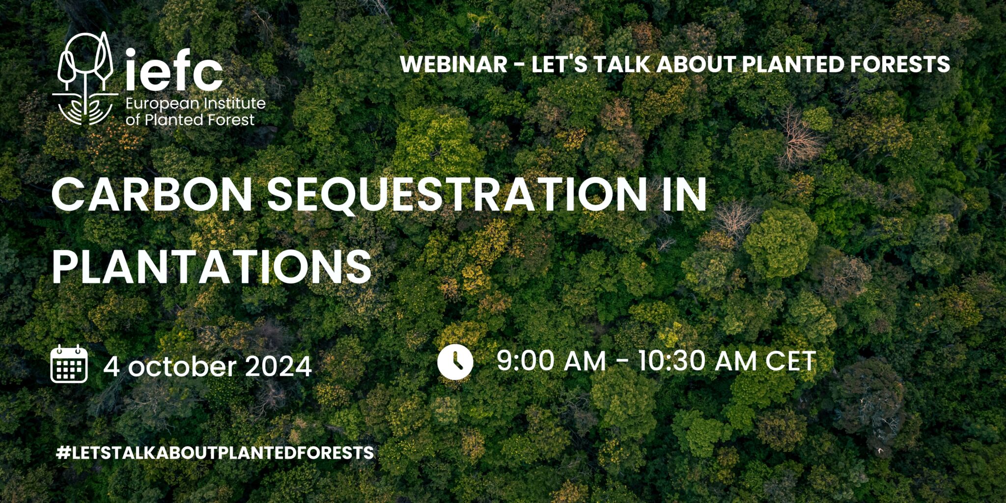 Webinar – Let’s Talk About Planted Forests – 4 october 2024 - European Institute of Planted ...