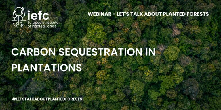 Webinars Replays - Let's Talk About Planted Forests - Institut Européen de la Forêt Cultivée - IEFC