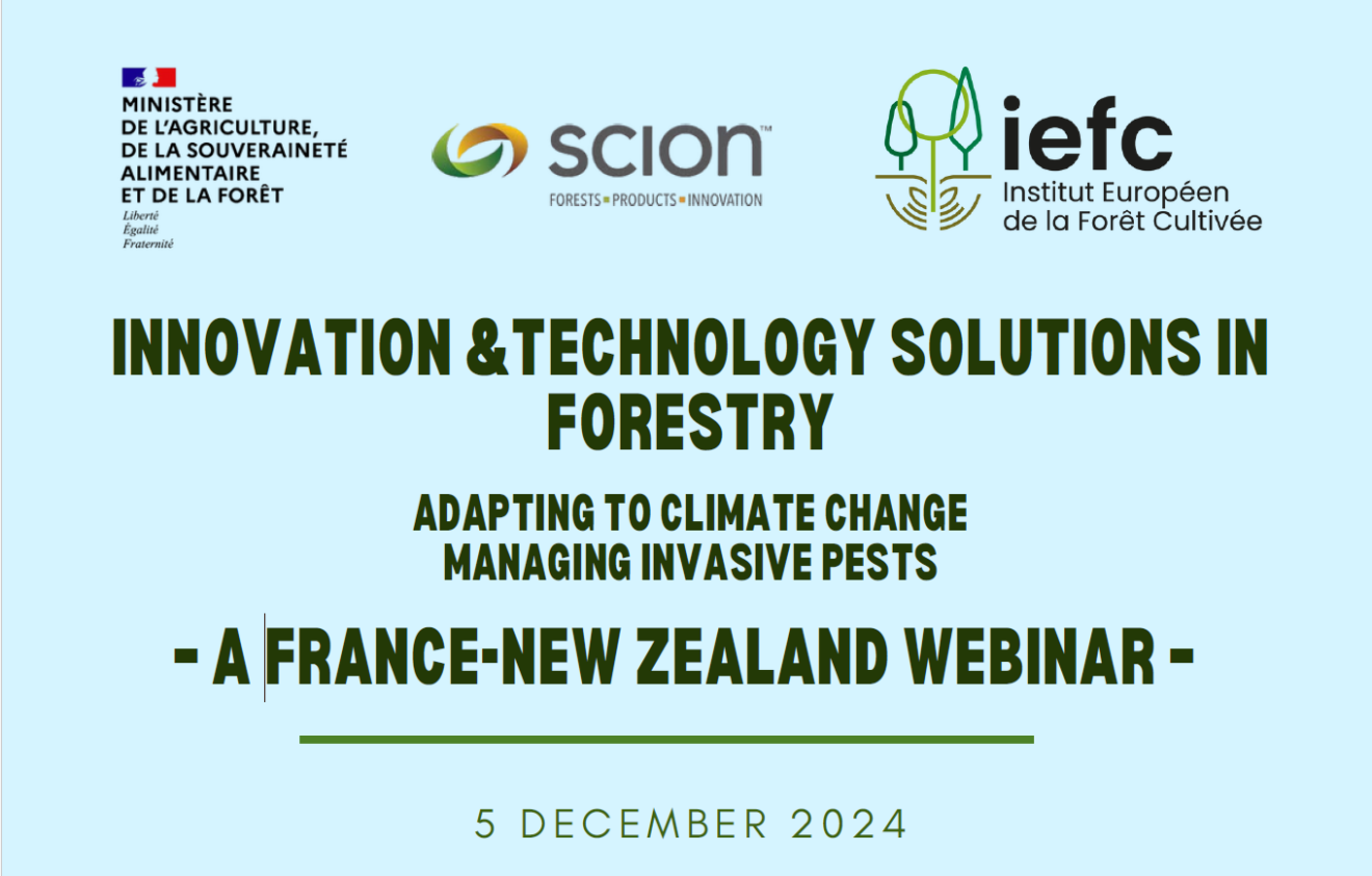 Webinar – Let’s Talk About Planted Forests – 5 december 2024 - European Institute of Planted ...