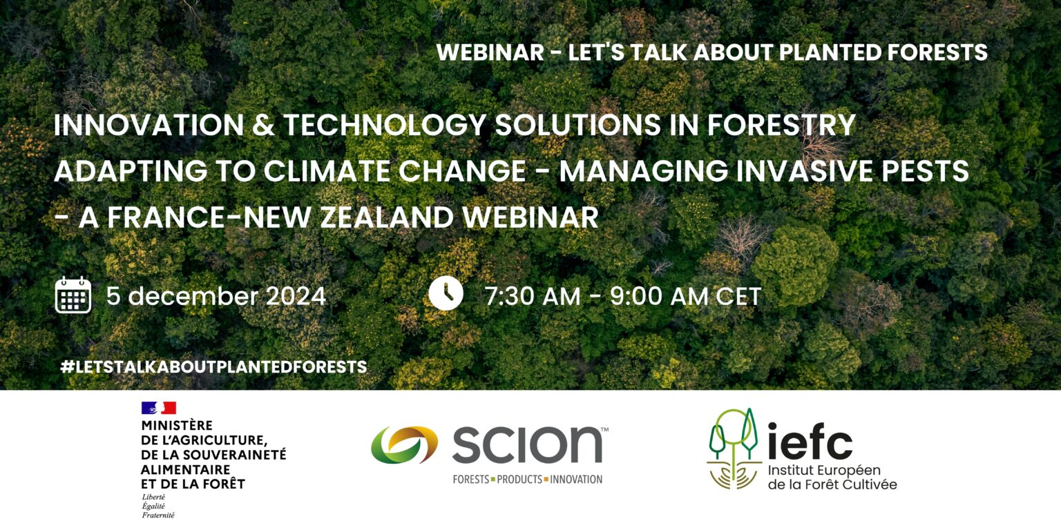 Webinar – Let’s Talk About Planted Forests – 5 December 2024 - Forestry & Innovation - European ...
