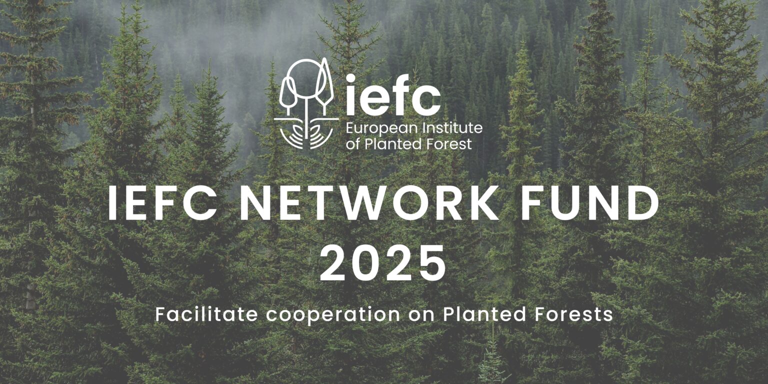 IEFC Network fund 2025 - Facilitate cooperation on Planted Forest - European Institute of ...