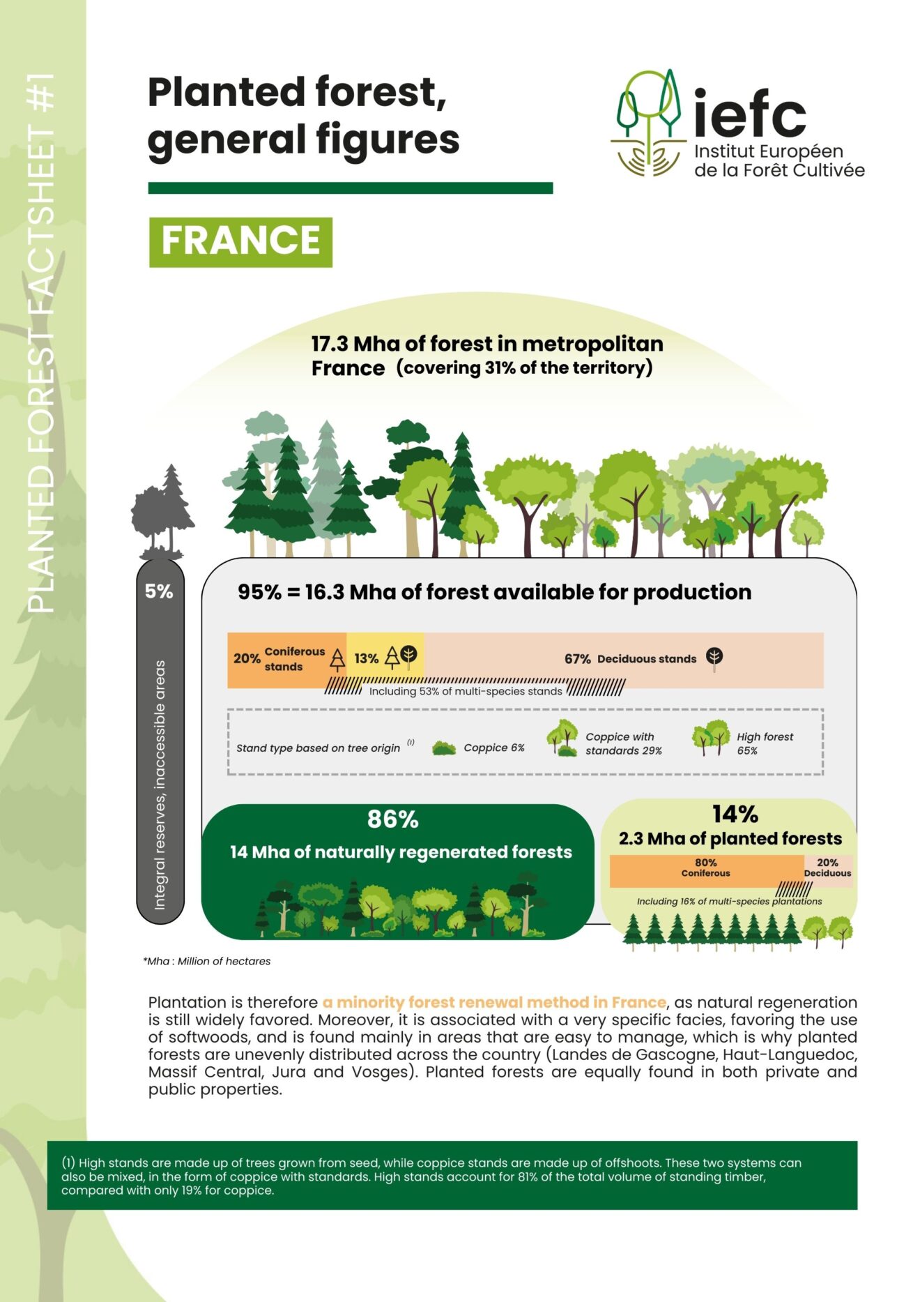 Factsheets - European Institute of Planted Forest - IEFC