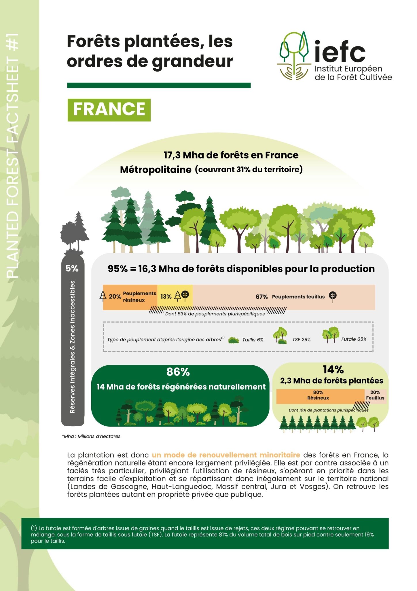 Factsheets - Institut Européen de la Forêt Cultivée - IEFC