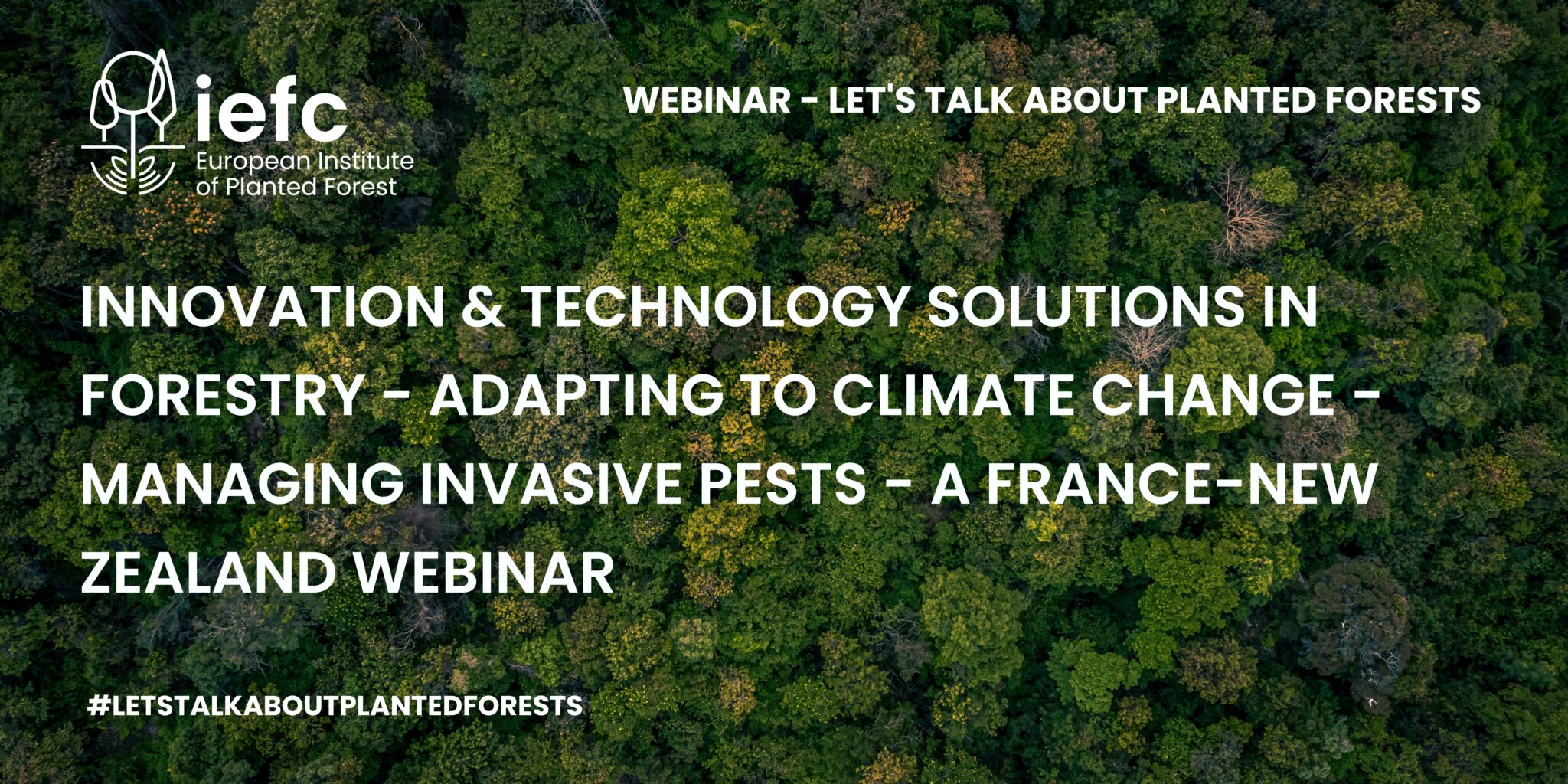 Webinars Replays - Let's Talk About Planted Forests - European ...
