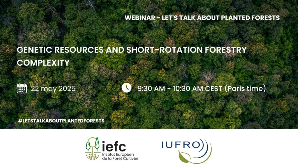 Webinar – Let’s Talk About Planted Forests – 22 may 2025 - European Institute of Planted Forest ...
